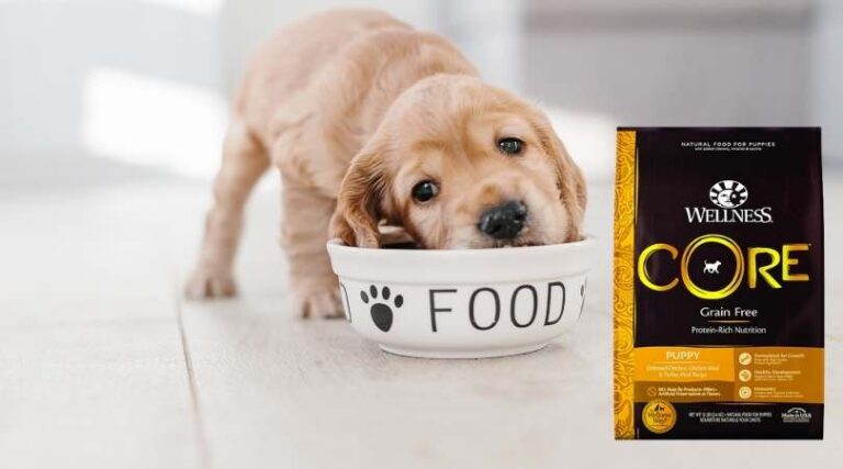 Wellness Core Puppy Food Reviews - The Great Pets