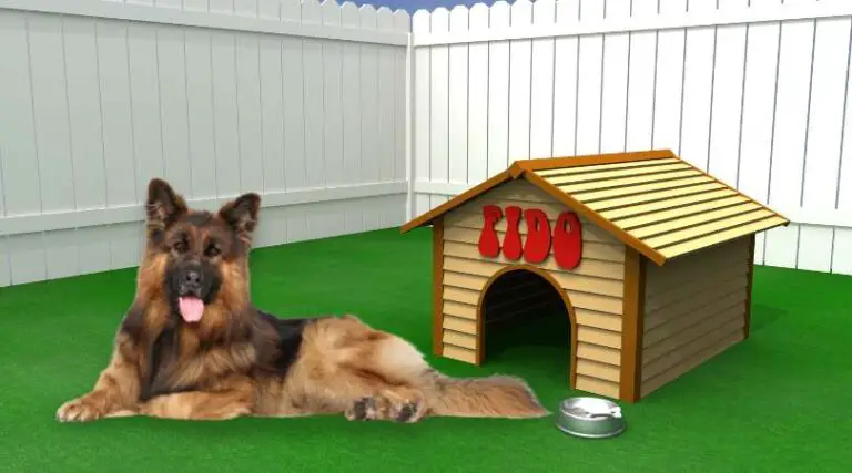 7 Best Dog Houses for German Shepherds for Both Indoor and Outdoor Use ...